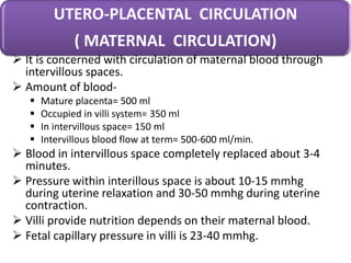 Placental circulation | PPTX