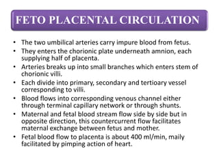 Placental circulation | PPTX