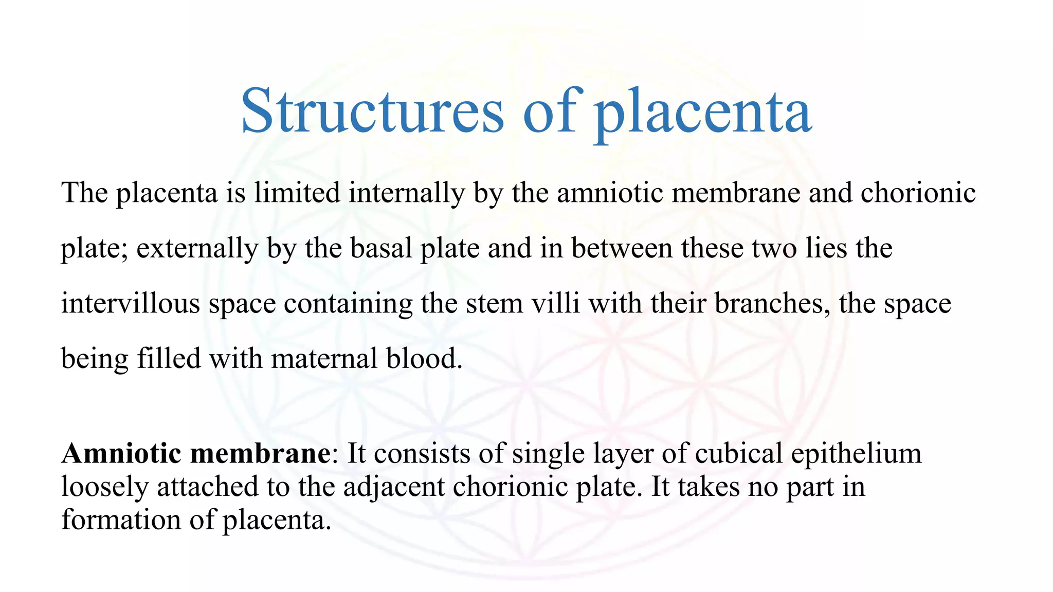 Placental development | PPTX