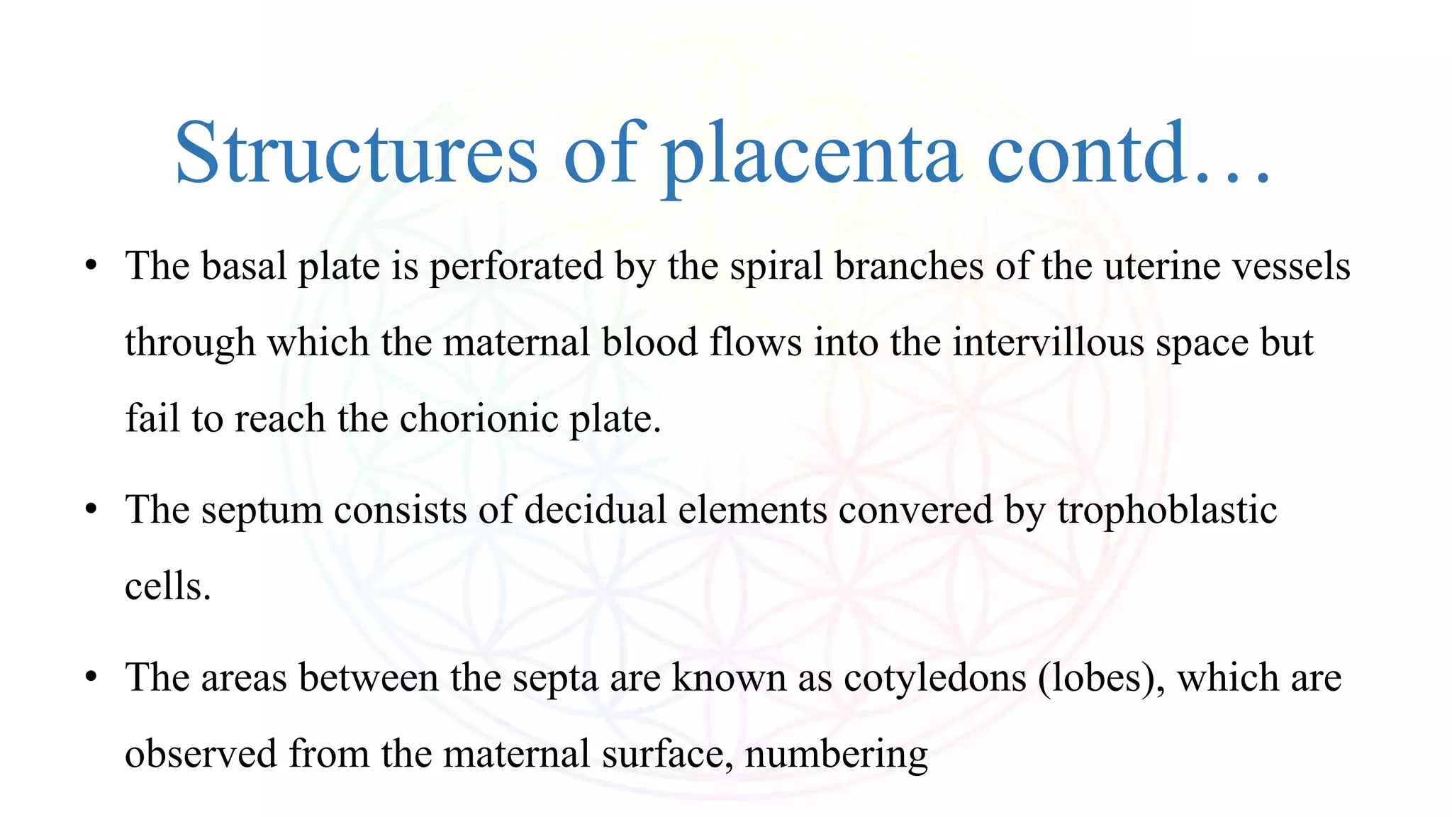 Placental development | PPTX