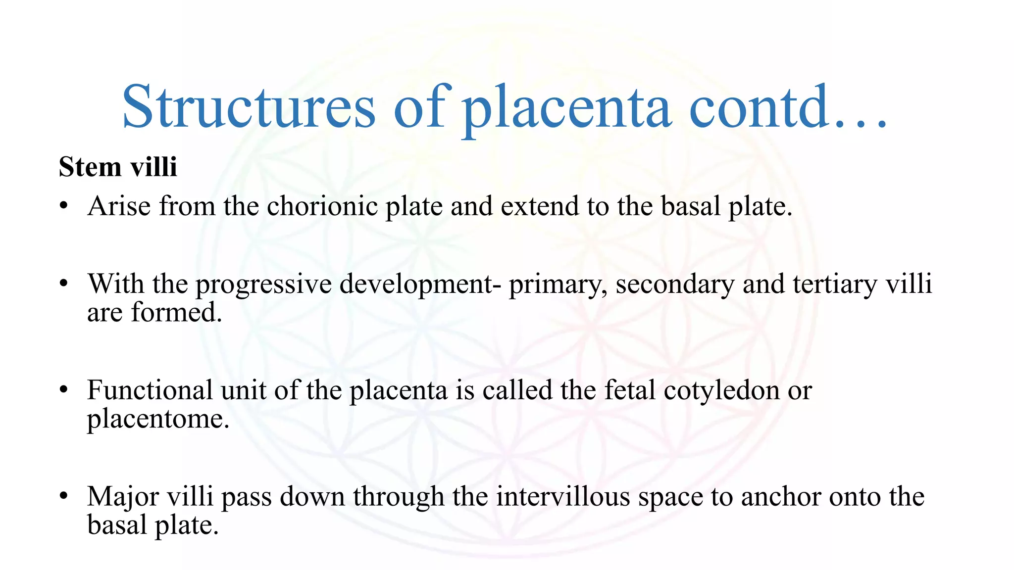Placental development | PPTX