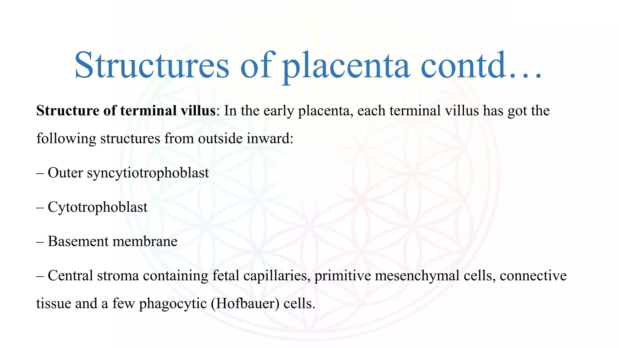 Placental development | PPTX
