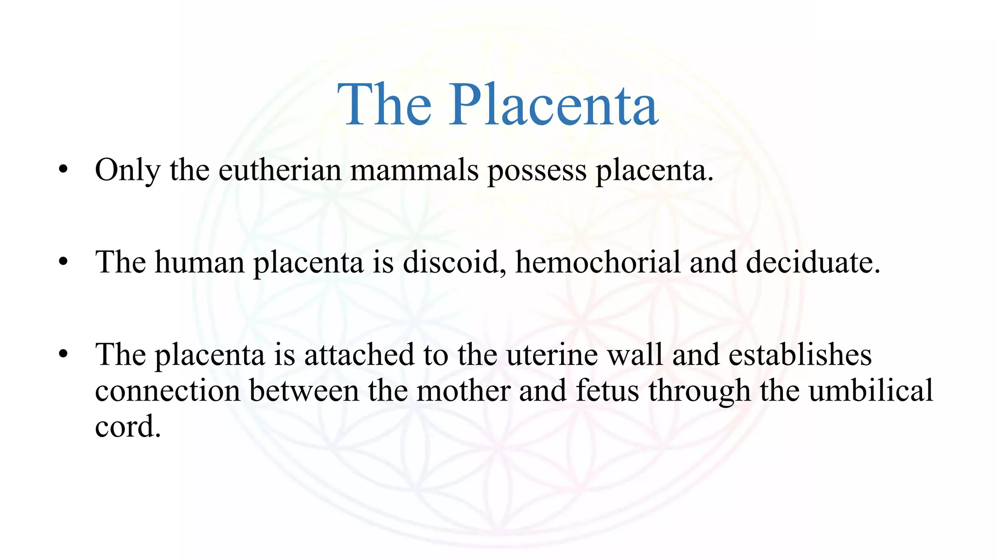 Placental development | PPTX