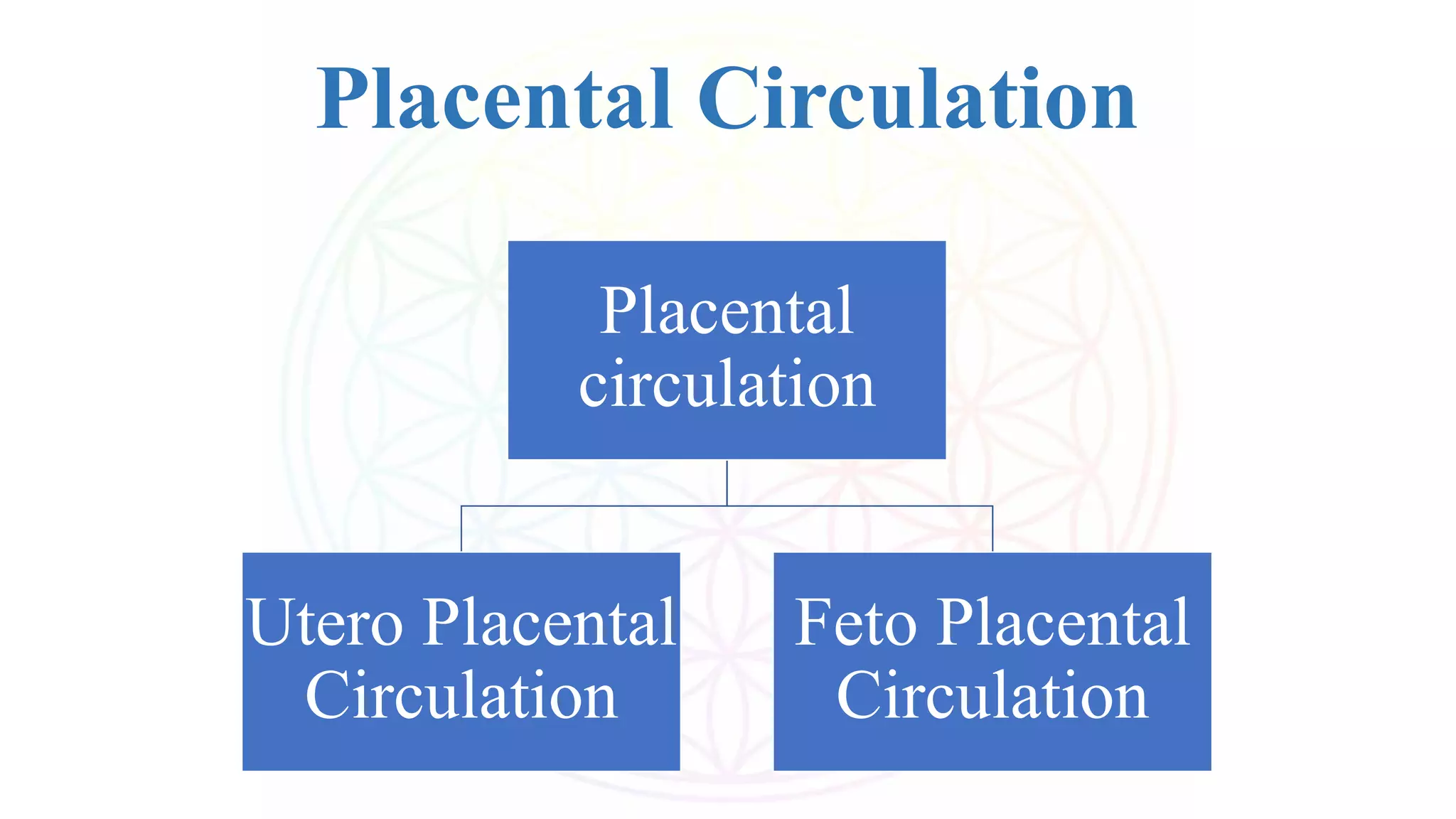 Placental development | PPTX