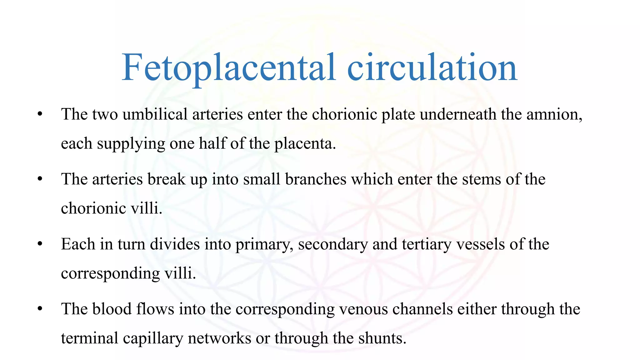 Placental development | PPTX
