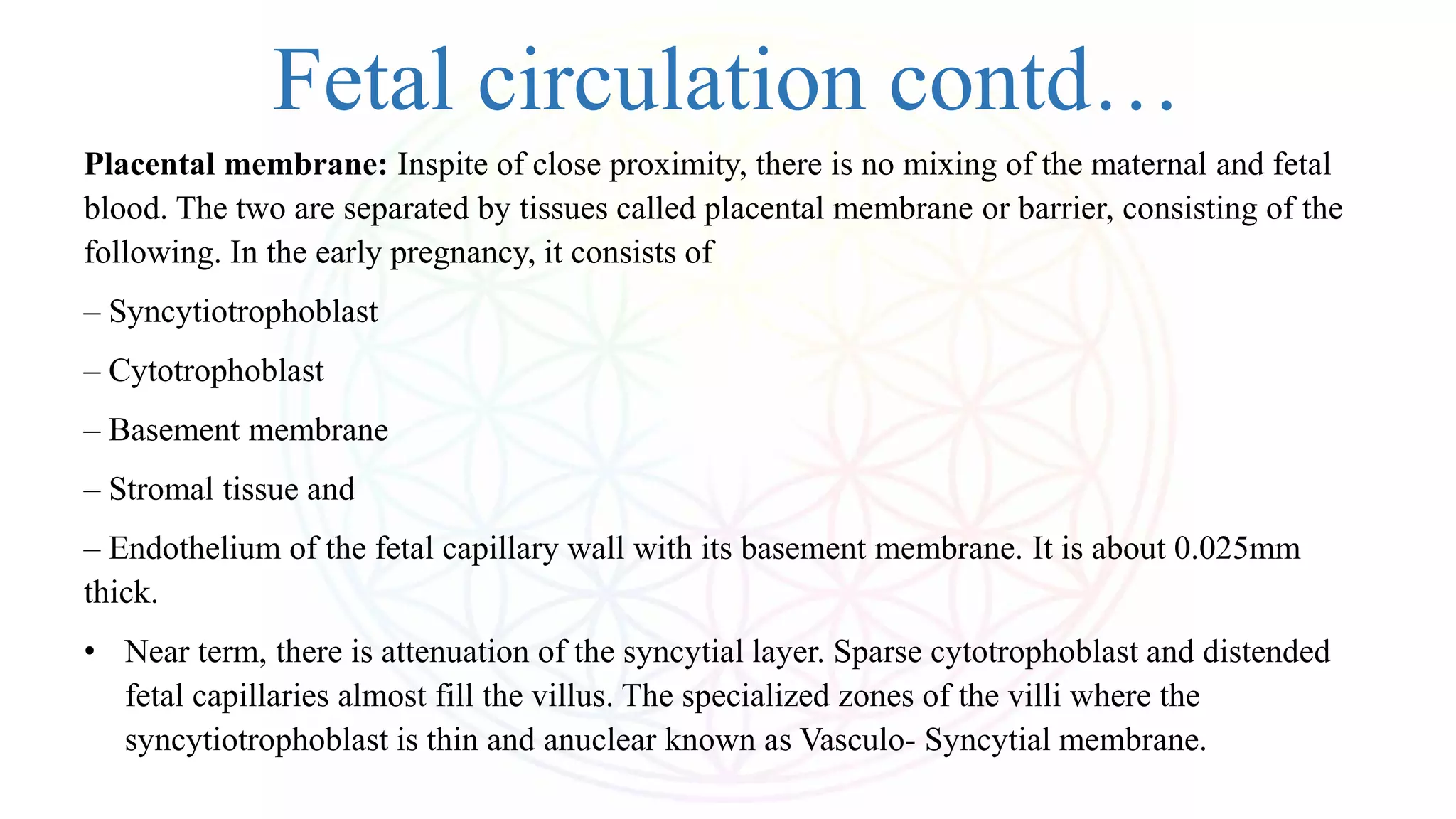 Placental development | PPTX