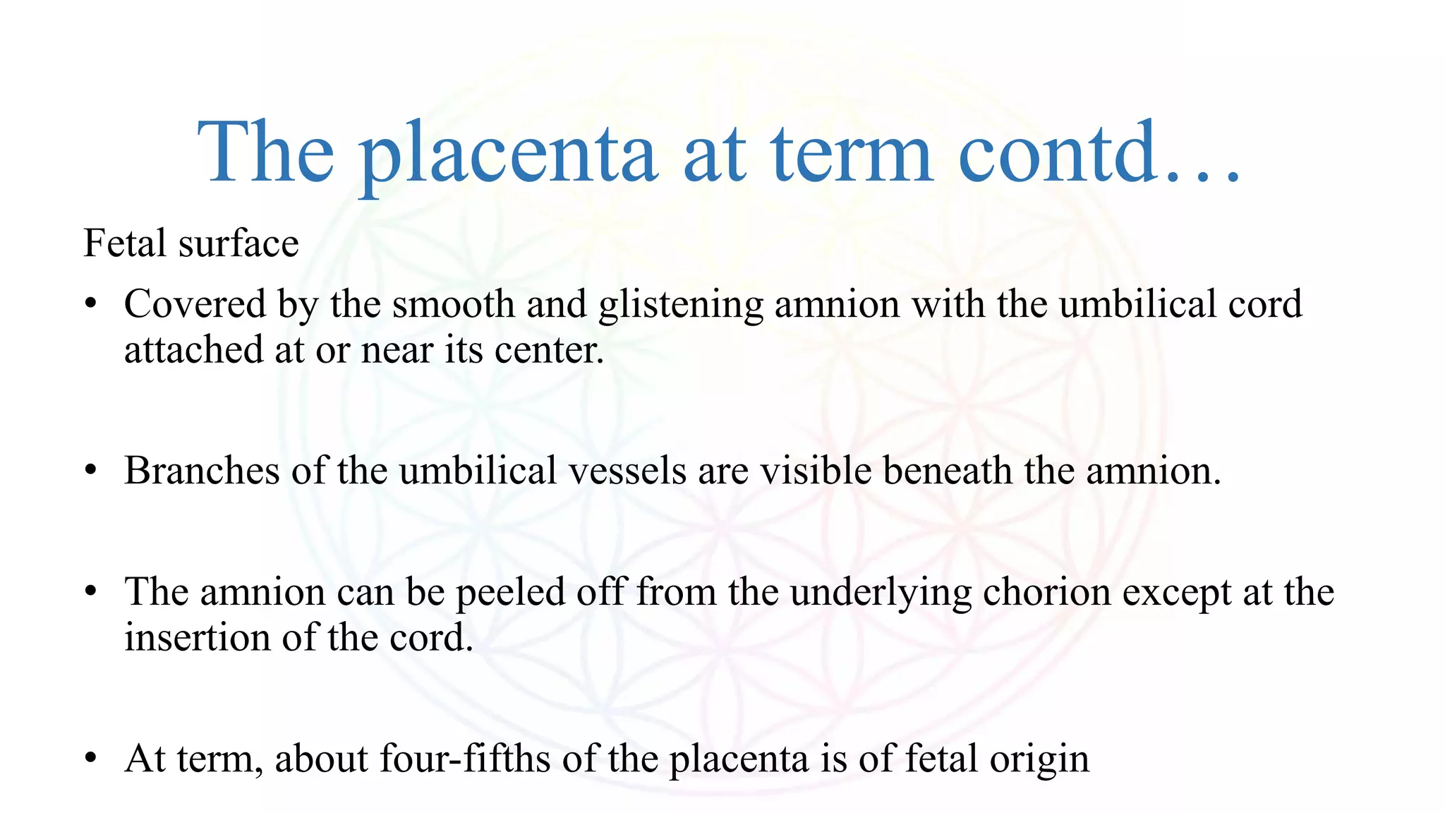 Placental development | PPTX