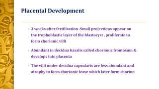 Placental development | PPTX