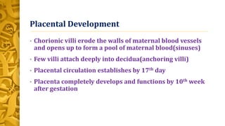 Placental development | PPTX