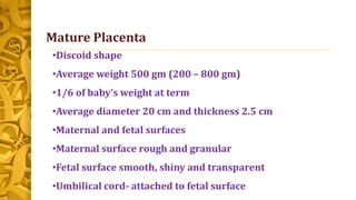 Placental development | PPTX