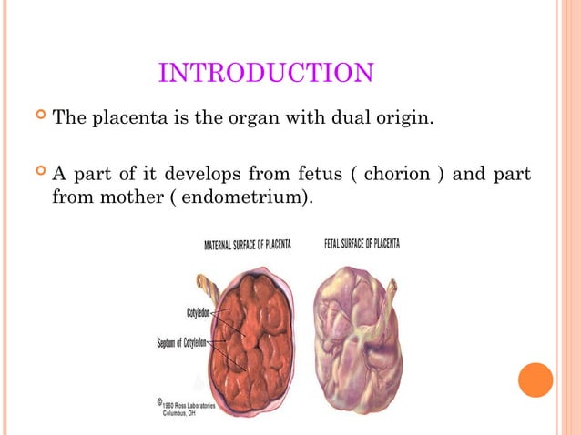placental development - Its process .ppt