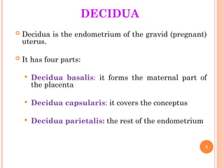 placental development - Its process .ppt