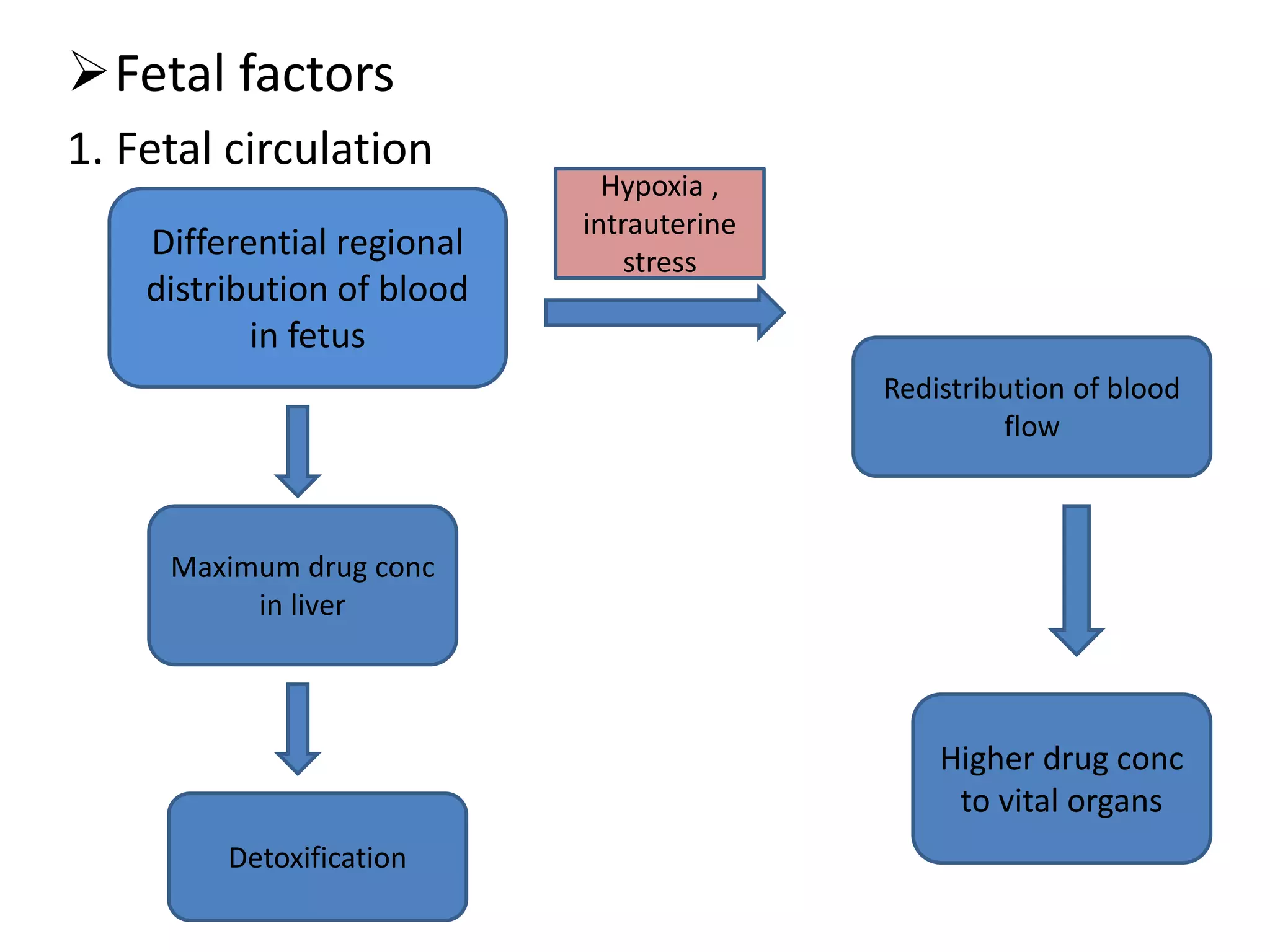Placental_Drug_transfer.ppt
