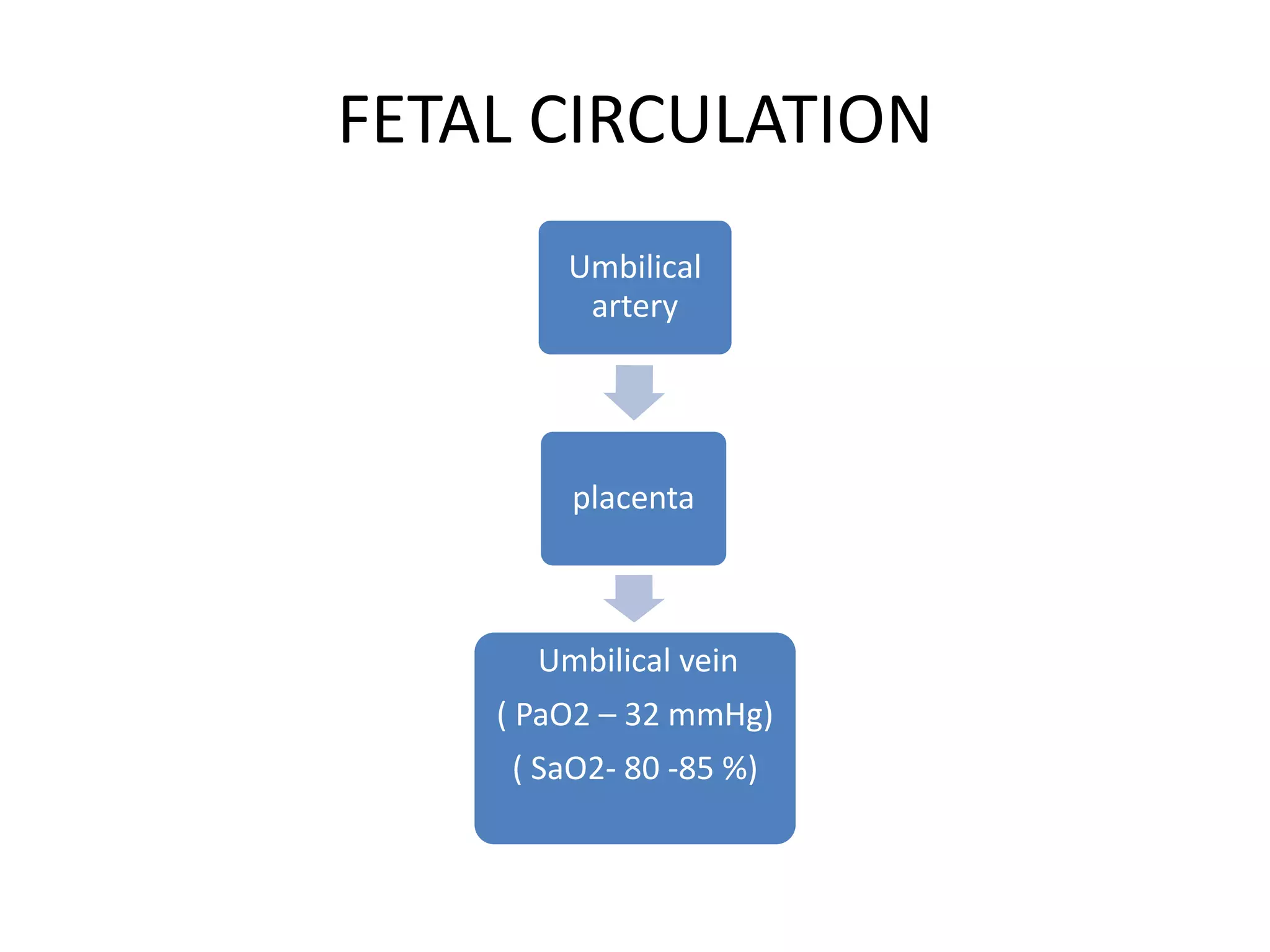 Placental_Drug_transfer.ppt