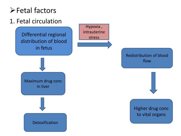 Placental_Drug_transfer.ppt | Pregnancy | Reproductive Health