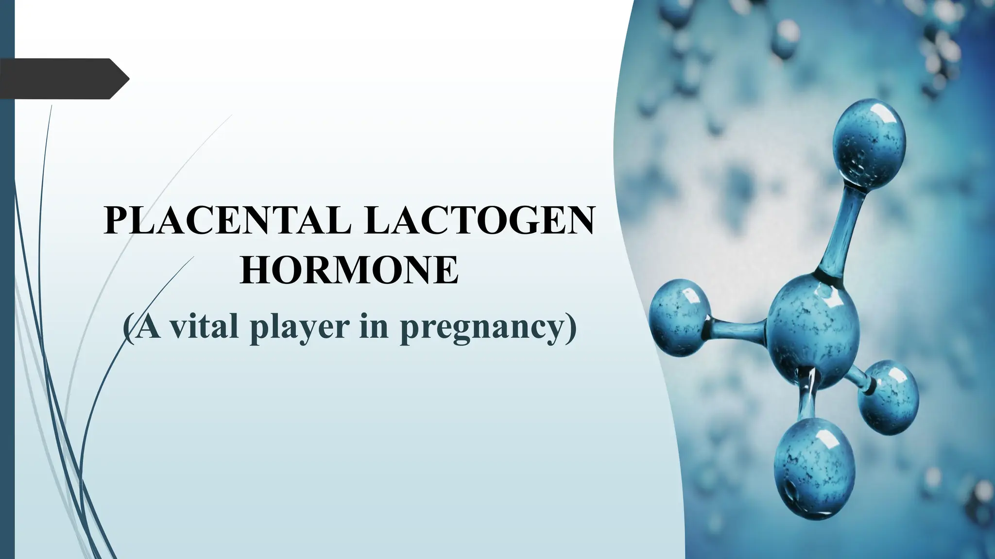 Placental Lactogen Hormone.pdf