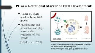 Placental Lactogen Hormone.pdf