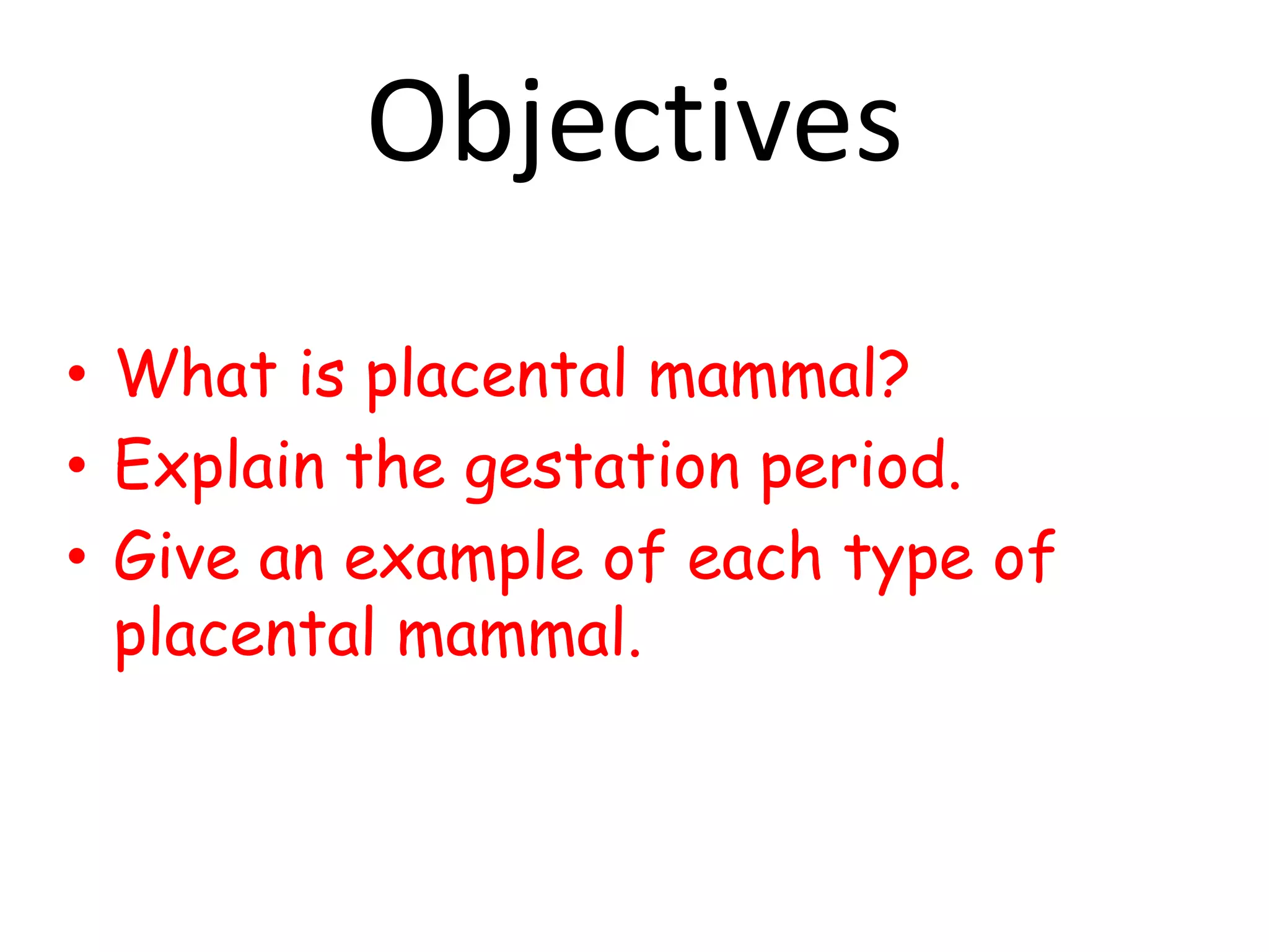 Placental mammals | PPTX