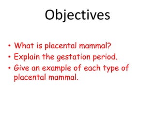 Placental Mammals Reproduction