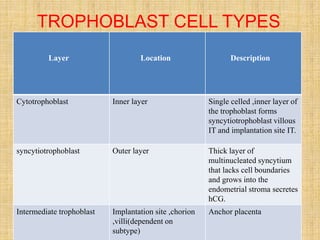 Placental pathology | PPTX