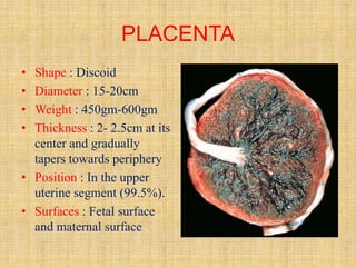 Placental pathology | PPTX