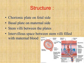 Placental pathology | PPTX