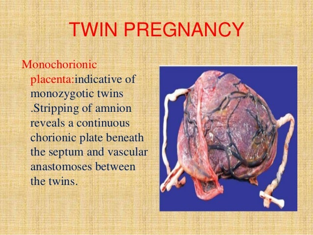 Placental pathology