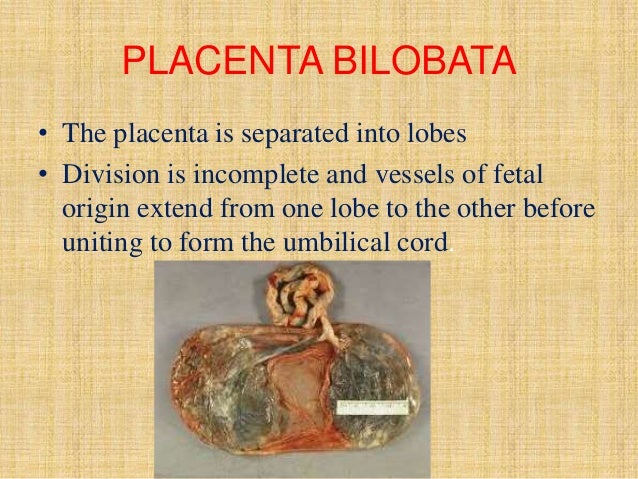 Placental pathology