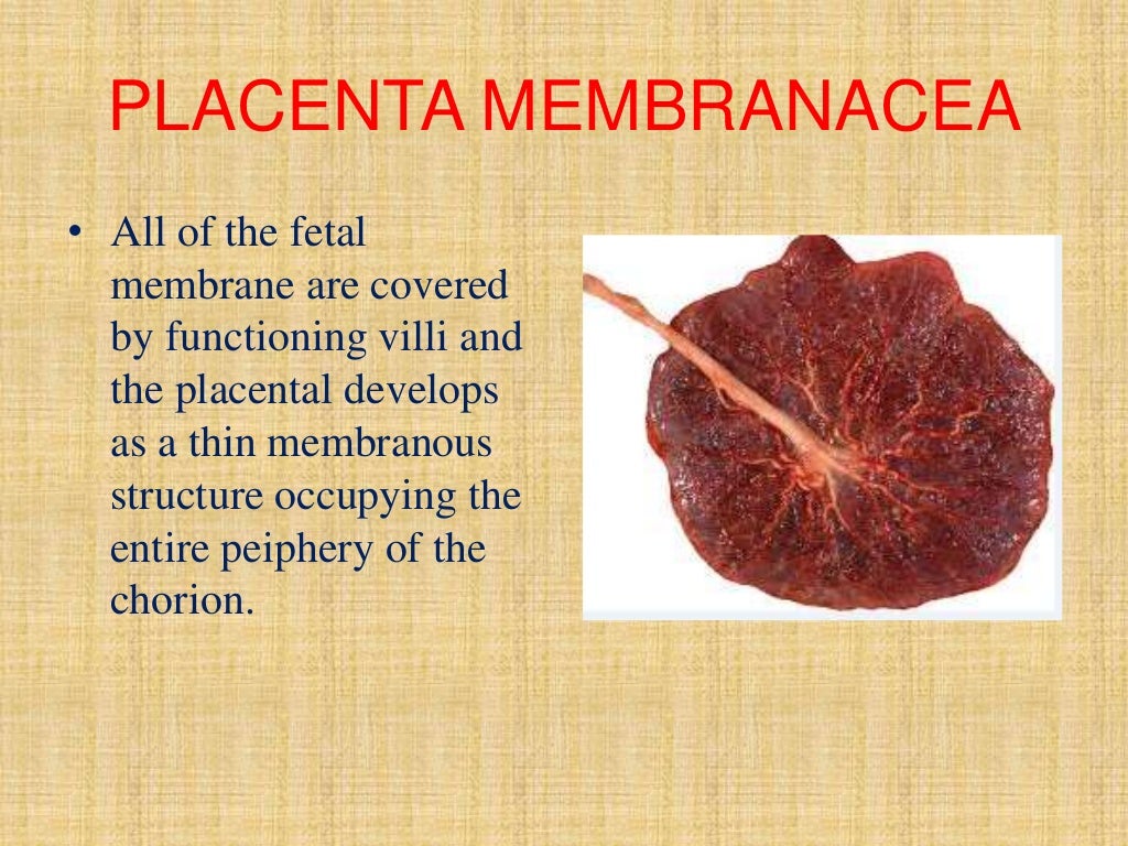 Placental pathology