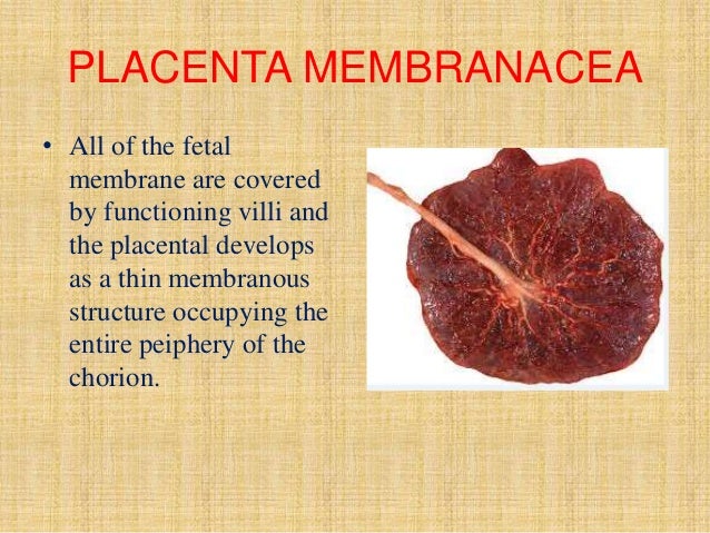 Placental pathology