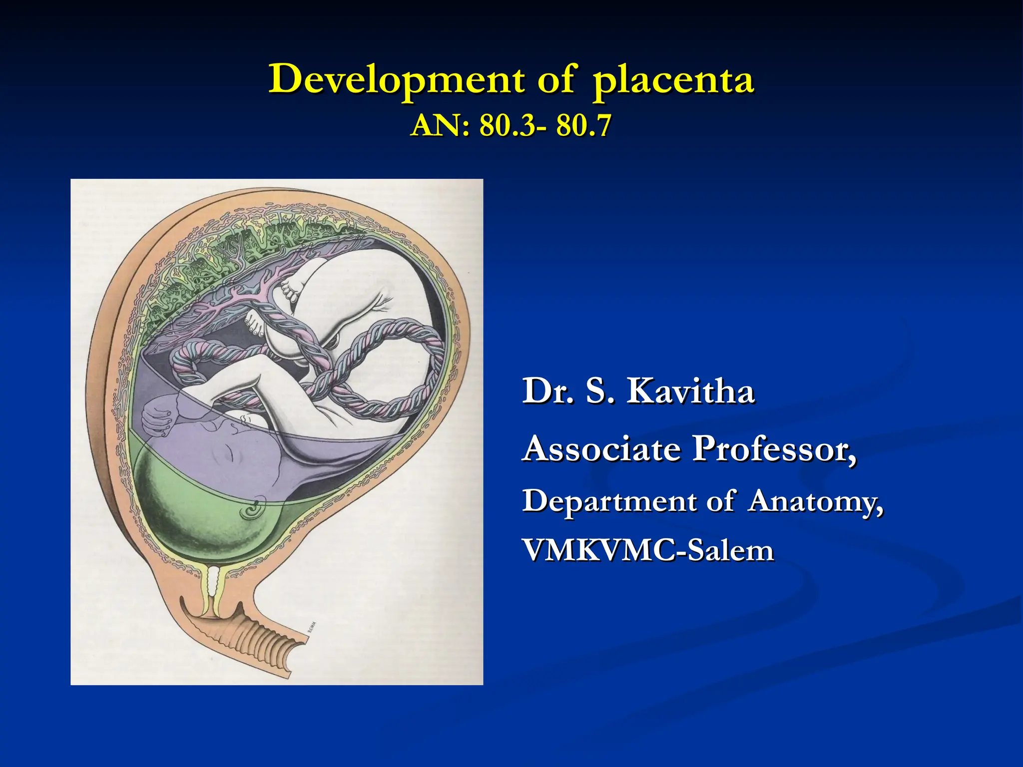 Developmental stages of placenta in early stages of pregnancy | PPT