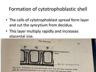 Placenta , memberanes and amniotic fluid | PPTX