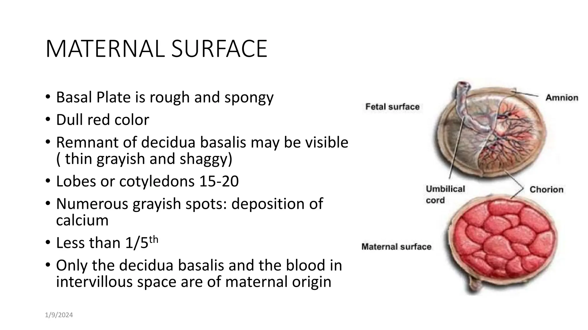PLACENTA & MEMBRANES.pptx