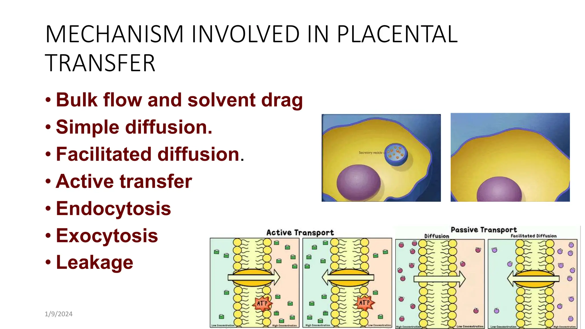 PLACENTA & MEMBRANES.pptx