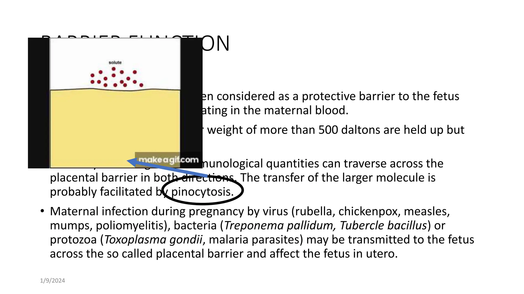 PLACENTA & MEMBRANES.pptx