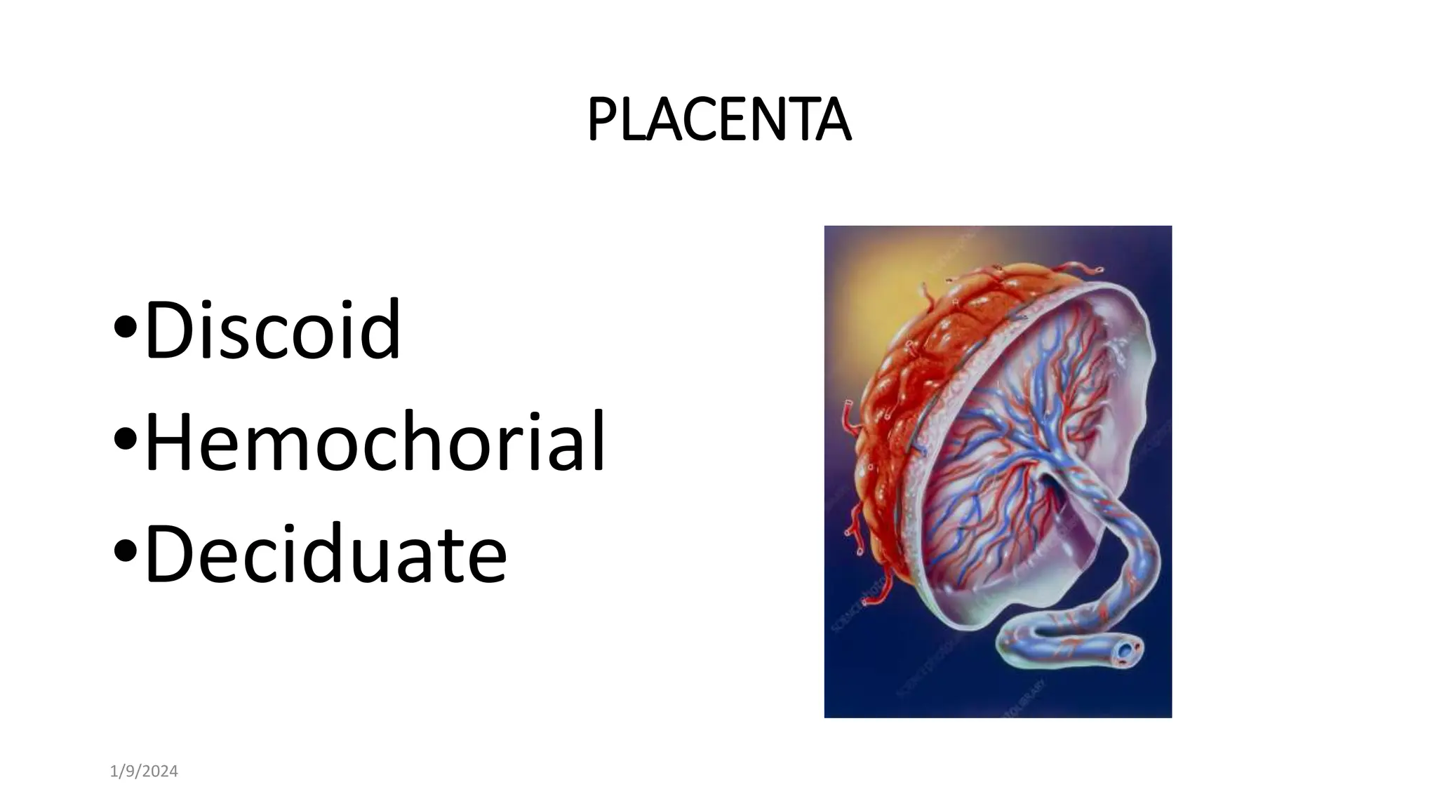 PLACENTA & MEMBRANES.pptx