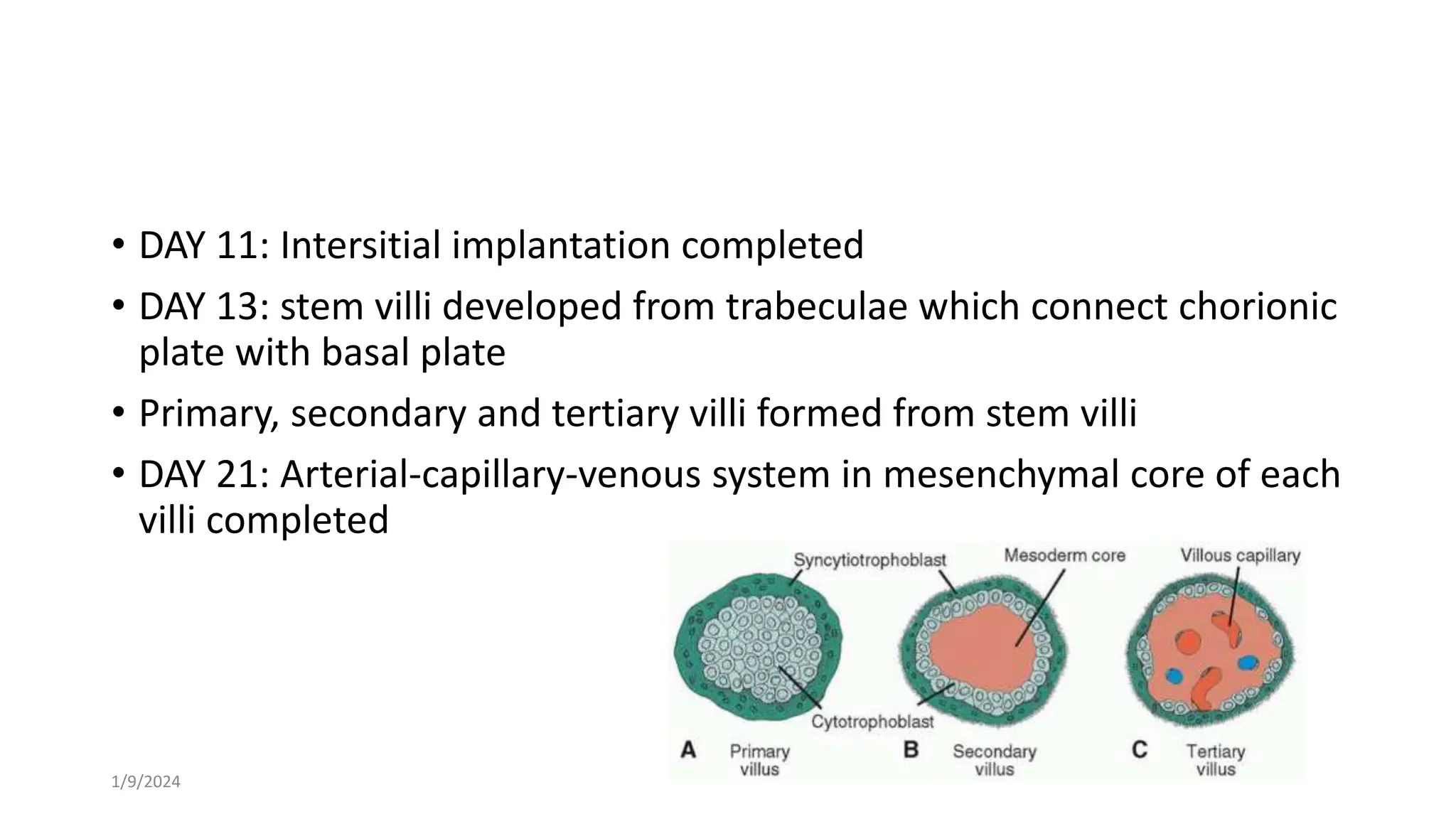 PLACENTA & MEMBRANES.pptx