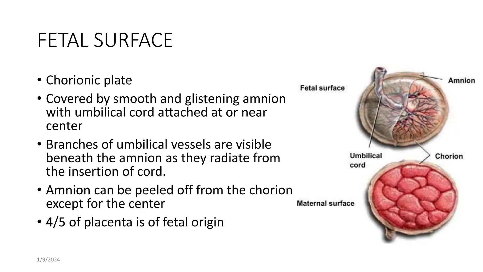 PLACENTA & MEMBRANES.pptx