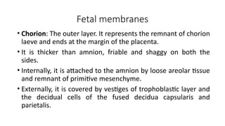 Placenta, membranes, amniotic fluid-3rd years.pptx