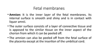 Placenta, membranes, amniotic fluid-3rd years.pptx