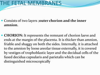 PLACENTA,MEMEBRANES AND AMNIOTIC FLUID FUNCTIONS AND DISORDERS.pptxA ...