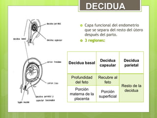 PLACENTA EMBRIOLOGIA | PPTX