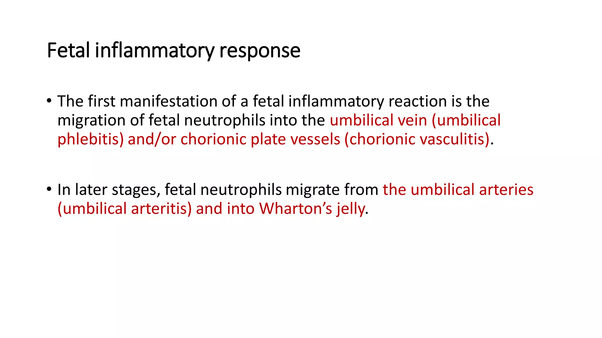 placenta pathology | PDF