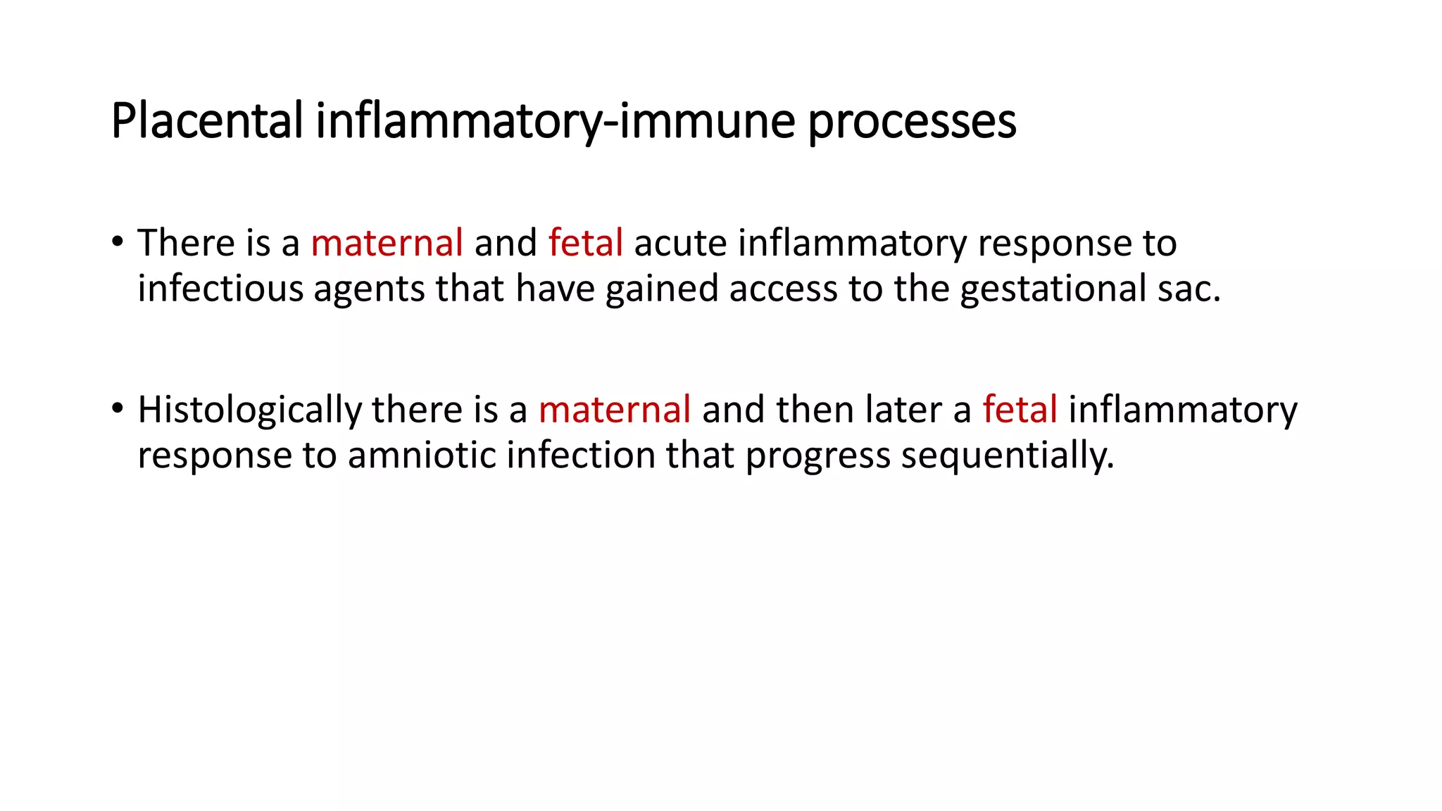 placenta pathology | PDF
