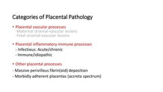 placenta pathology | PDF