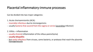placenta pathology | PDF