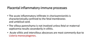 placenta pathology | PDF