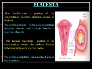 PLACENTA, PARTURITION AND LACTATION | PPT