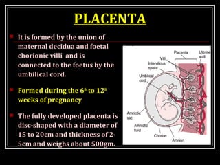 PLACENTA, PARTURITION AND LACTATION | PPT