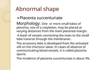 Placenta physiology and abnormalities IN PRE | PPTX